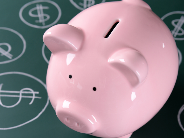 NPLD Budget Template | The National Environmental Education Foundation ...