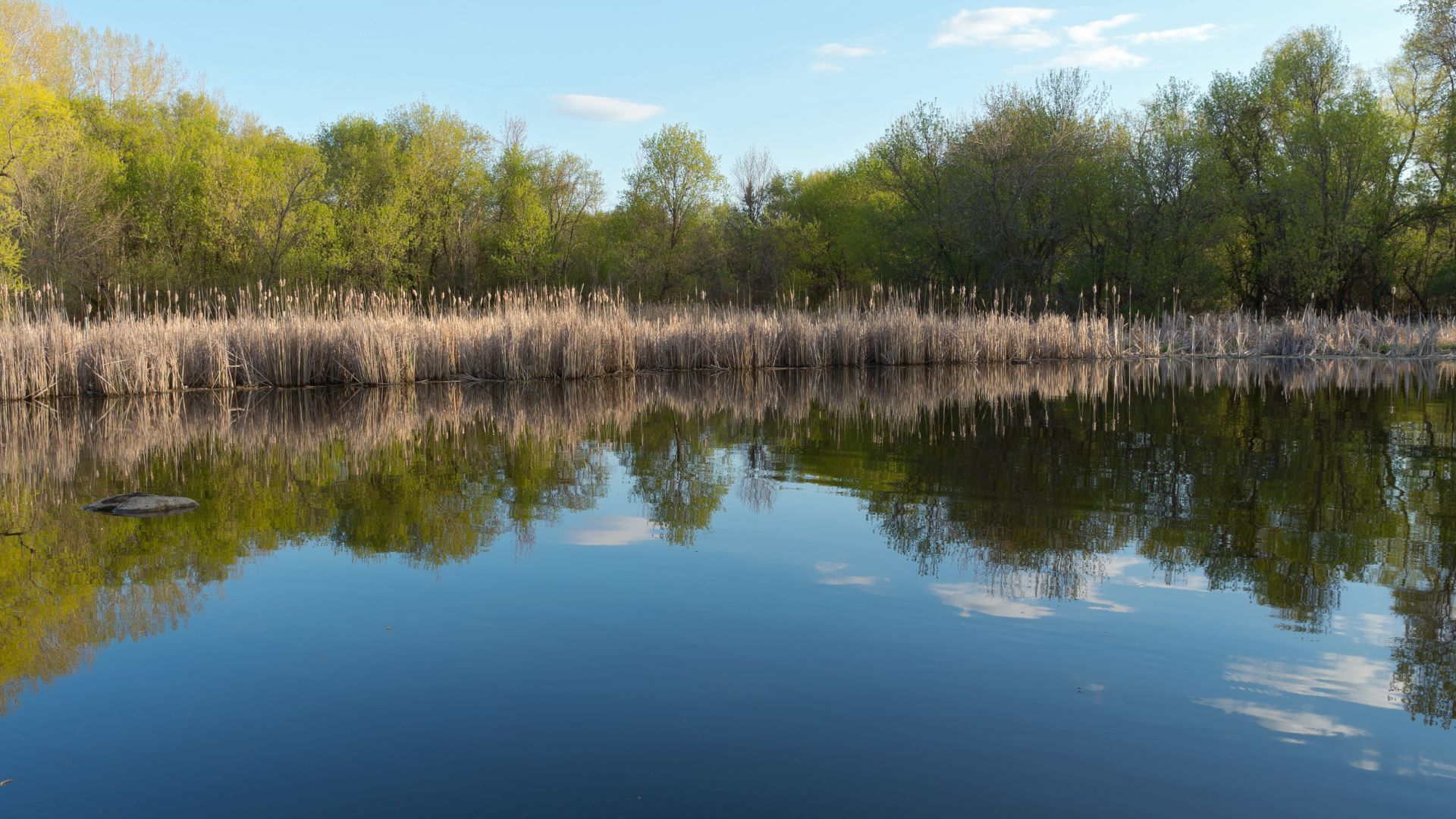 Donate | The National Environmental Education Foundation (NEEF)