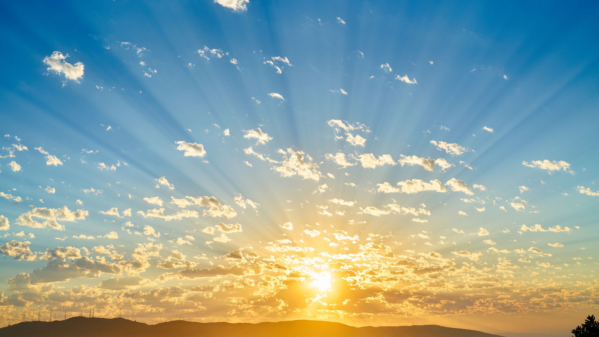 NEEF Press Room | The National Environmental Education Foundation (NEEF)