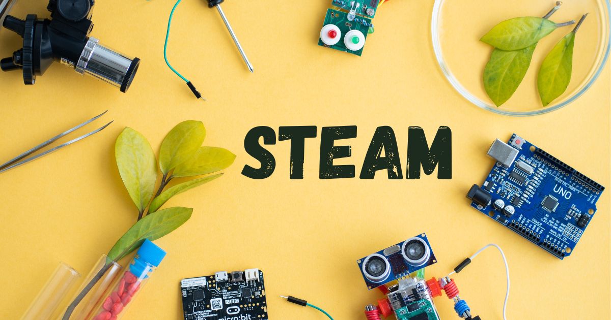 Celebrate National STEM/STEAM Day with Environmental Education | The ...