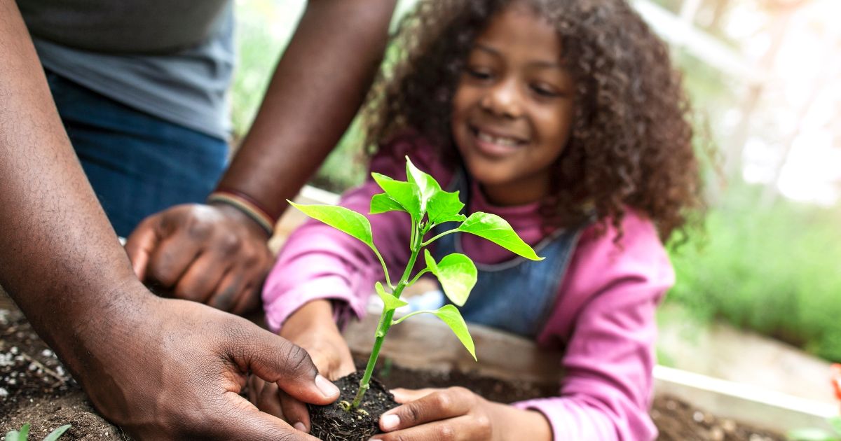 How Greening Communities Can Reduce Violence and Promote Health | The ...