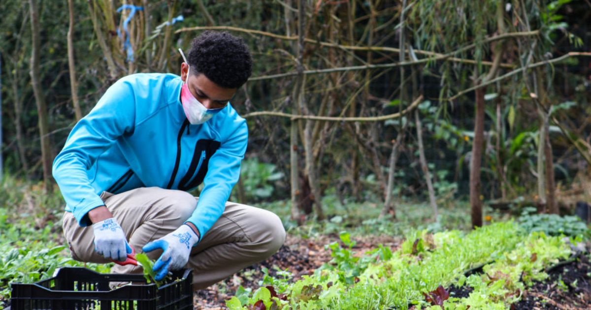 US National Arboretum Will Host Signature Event for 2024 National ...