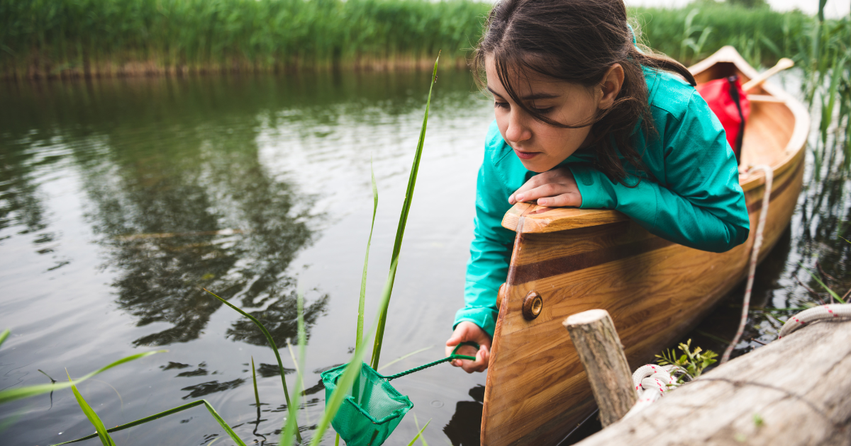 The Importance of Environmental Education in K-12 Curriculum | The ...