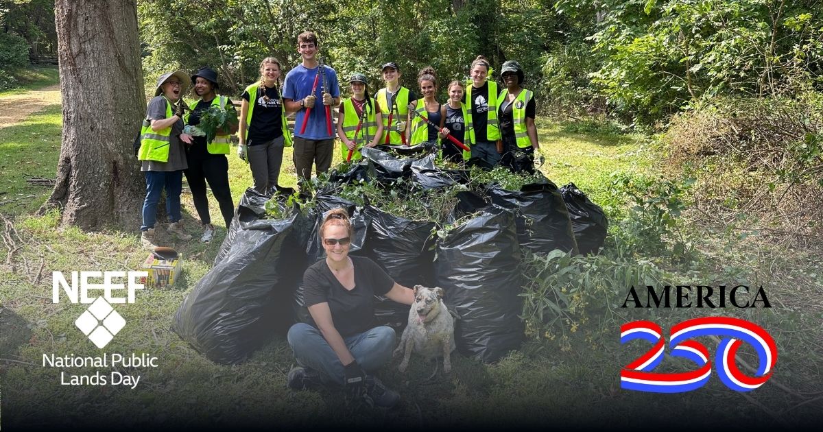 NEEF and America250 Unite Volunteers to Care for Public Lands on ...
