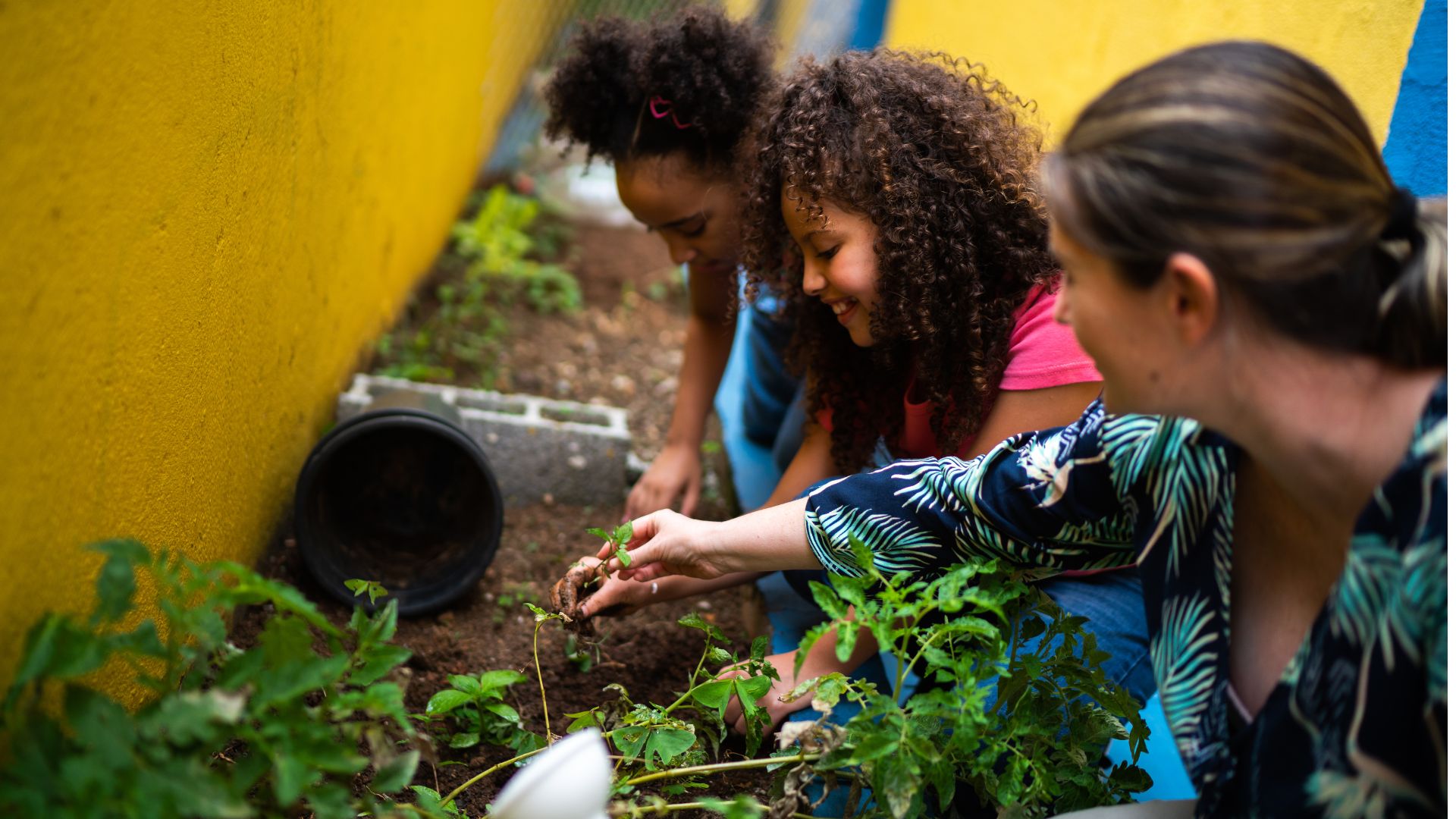 Environmental Education Week | The National Environmental Education ...