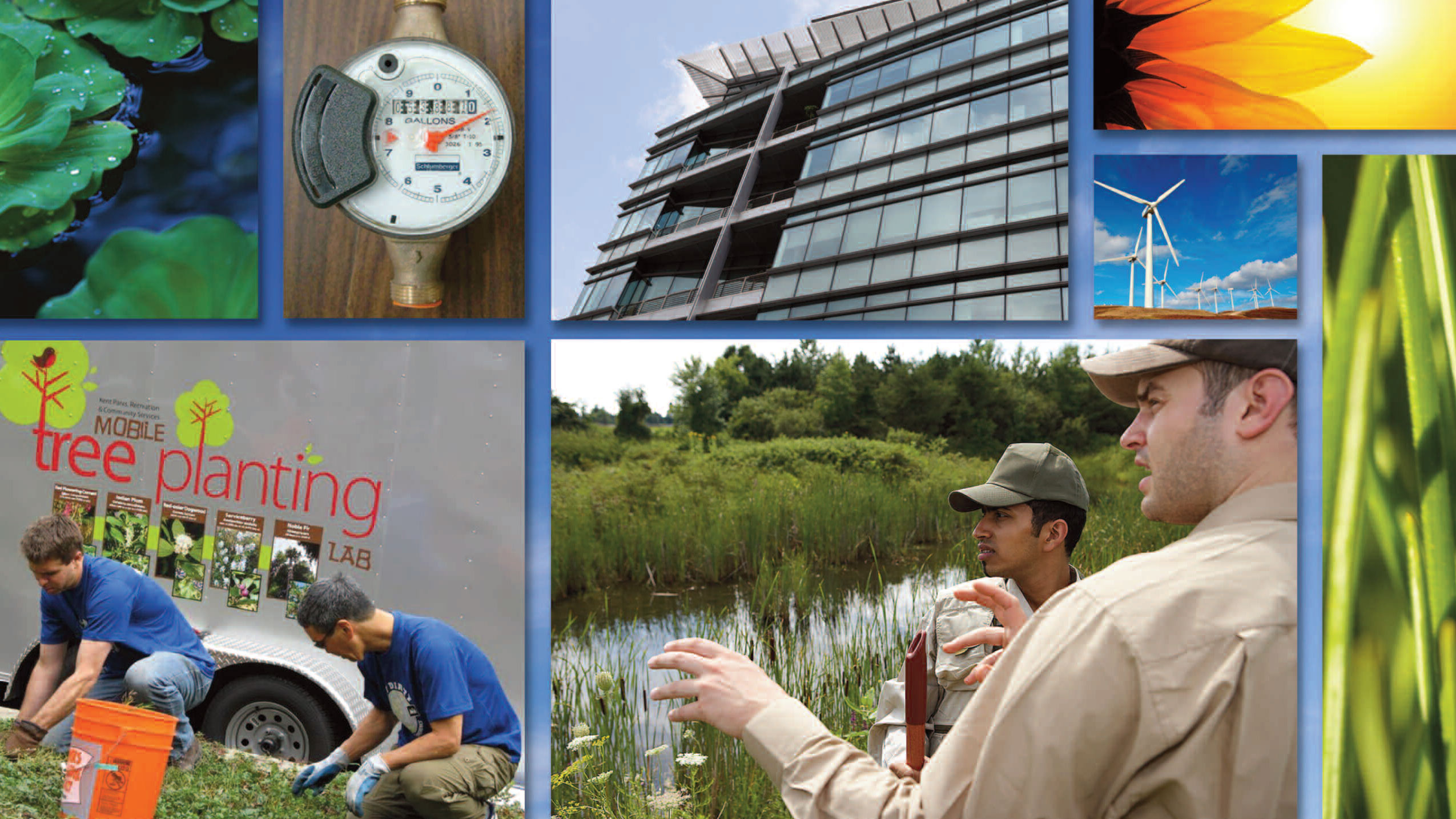 The Business Case for Environmental & Sustainability Employee Education ...