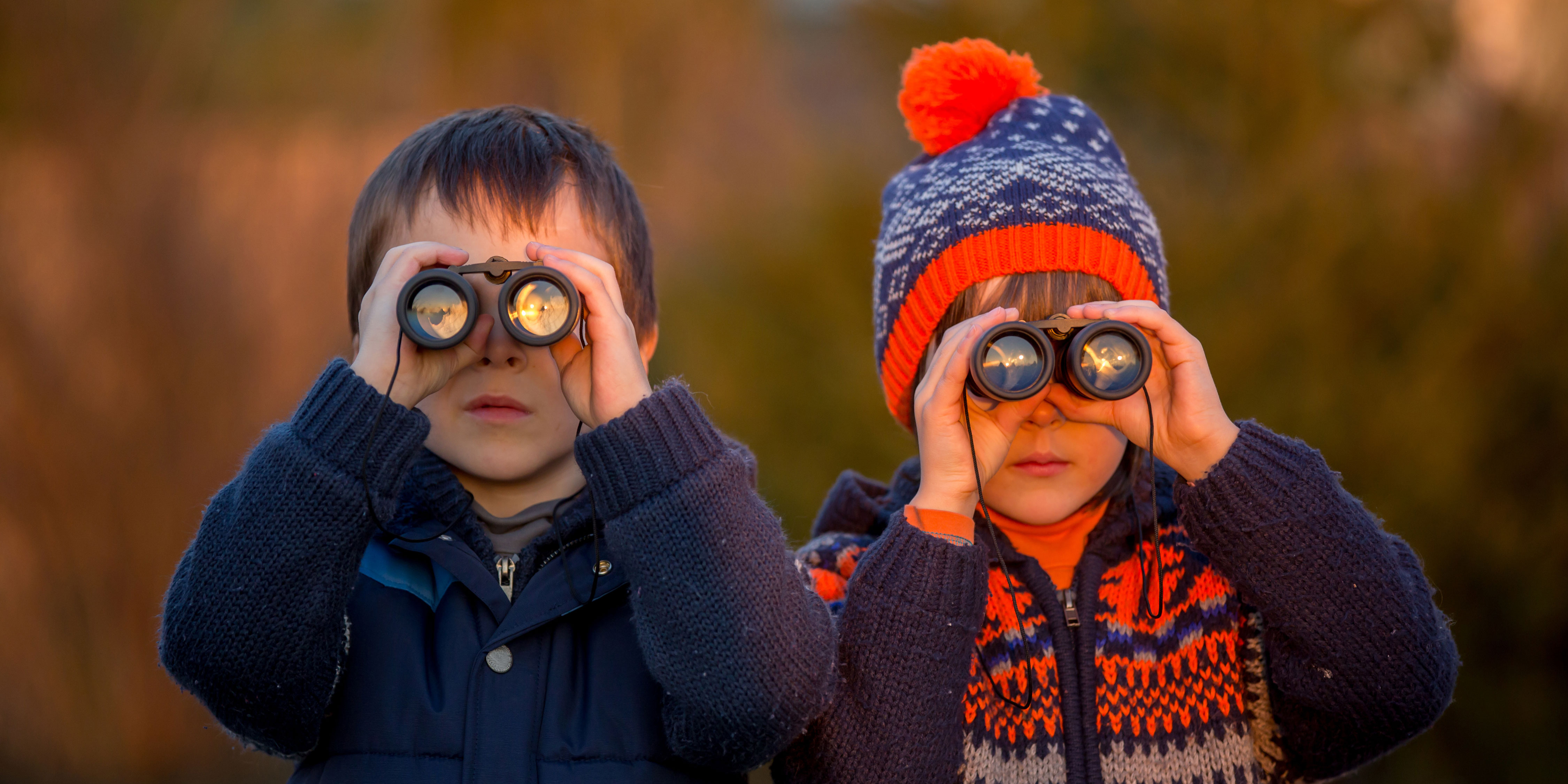Environmental Education Activities to Keep Your Students Engaged This ...