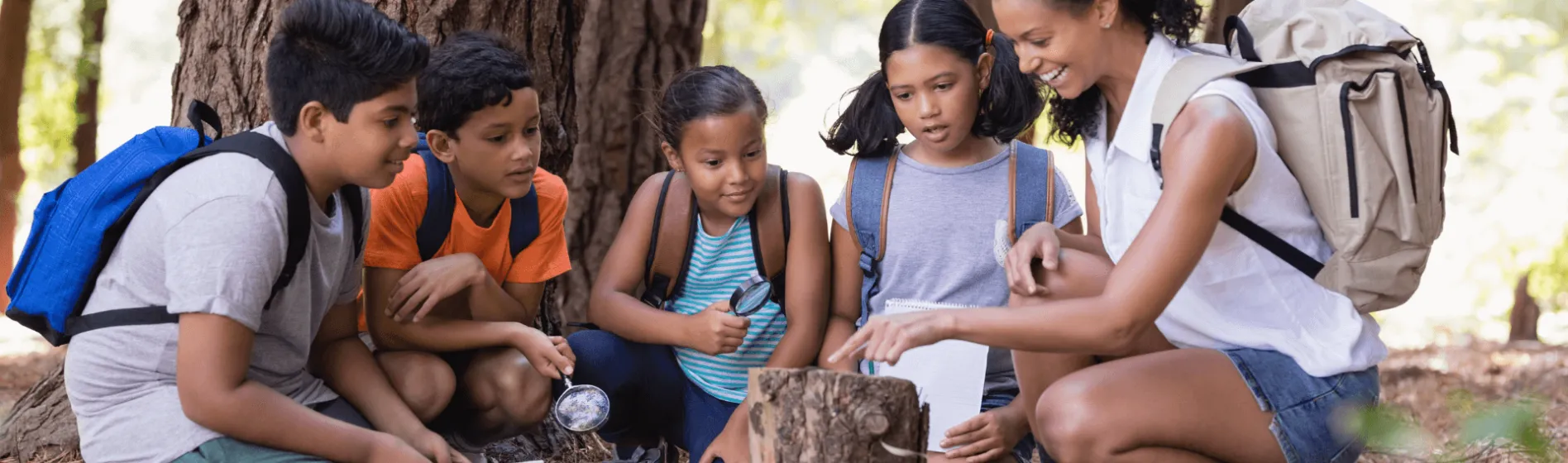 K-12 Education | The National Environmental Education Foundation (NEEF)