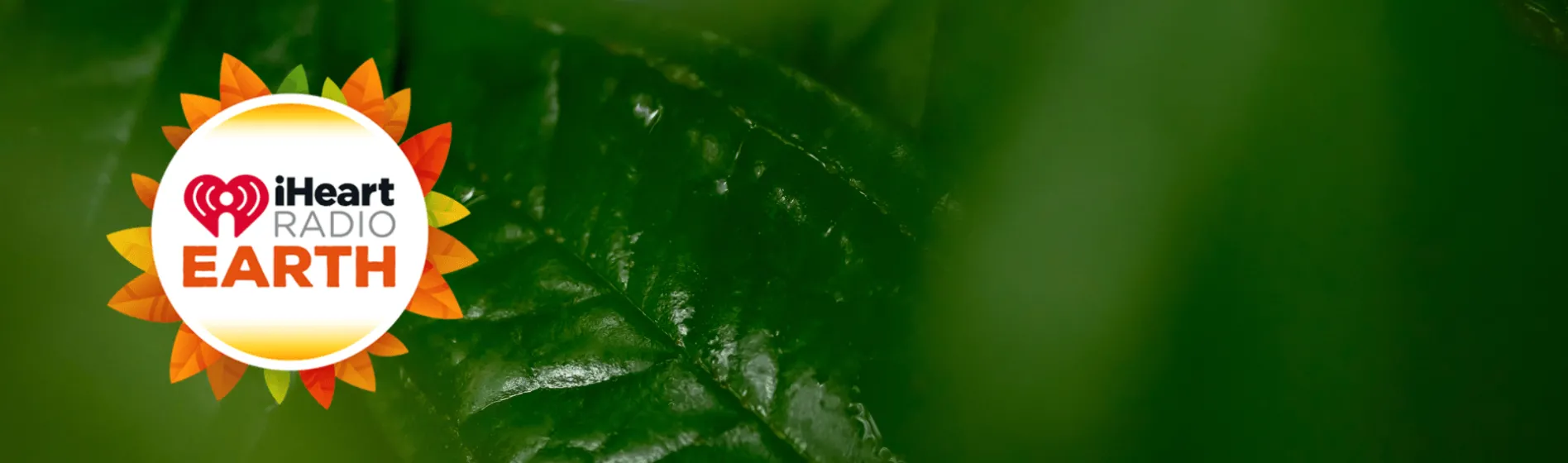 Our Impact | The National Environmental Education Foundation (NEEF)